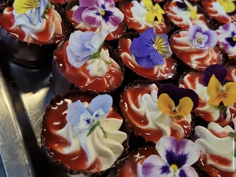 Overnatting i Holmsbu | Rom til leie på Holmsbu Resort